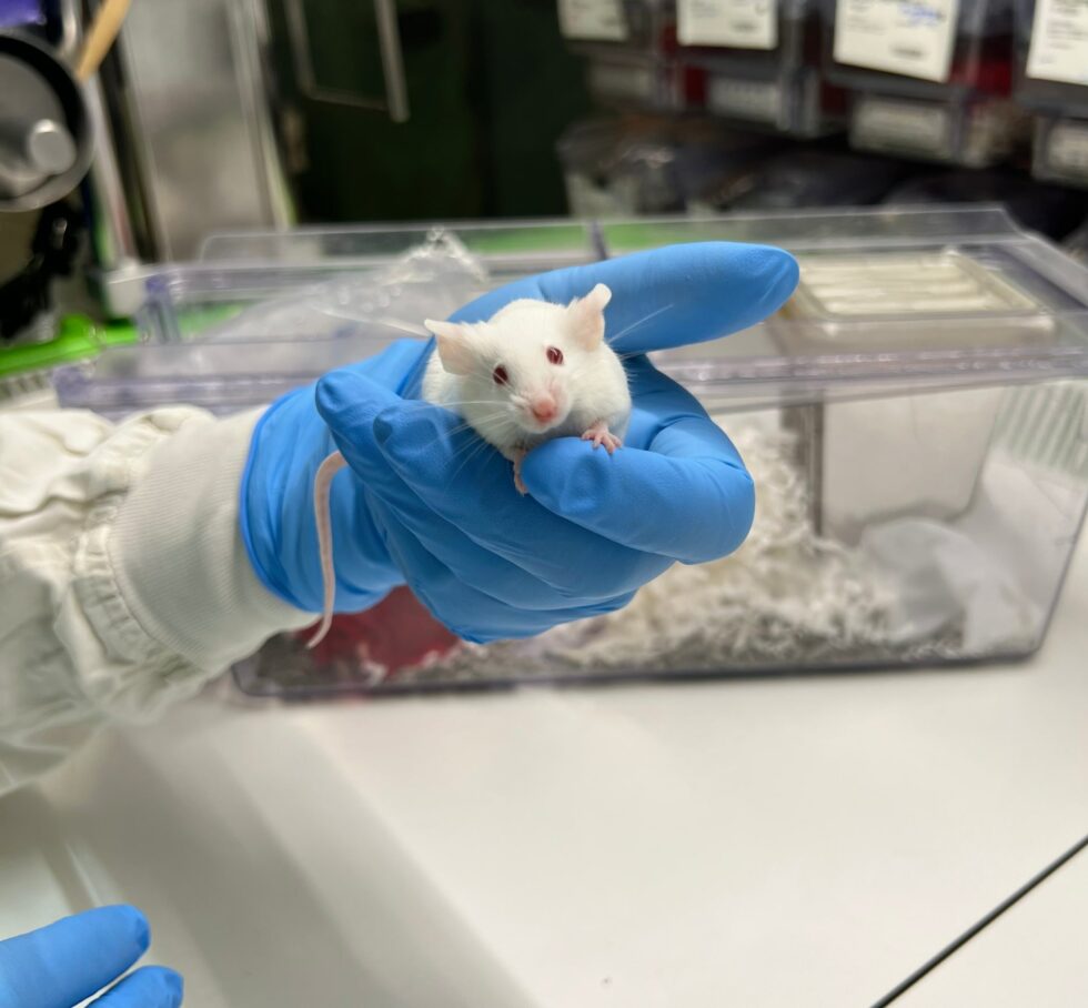 Combine ABR Packages & Save! | Australian Bio Resources