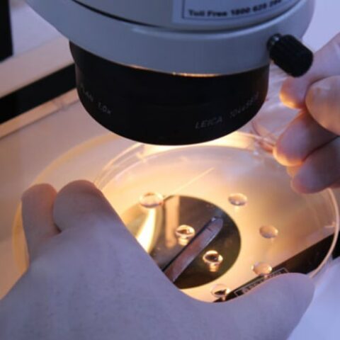 About ABR | Australian Bio Resources